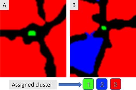 Cluster Assignment A Intercellular Space Classified As Cluster And Download Scientific