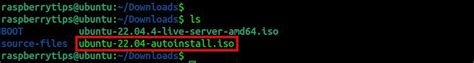 headless ubuntu server installation a comprehensive guide raspberrytips