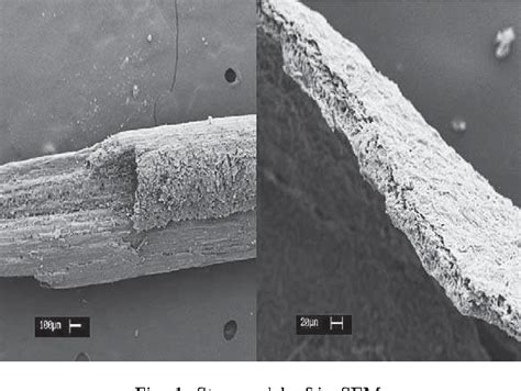Figure 1 From Solid Liquid Extraction Of Andrographolide From Plants