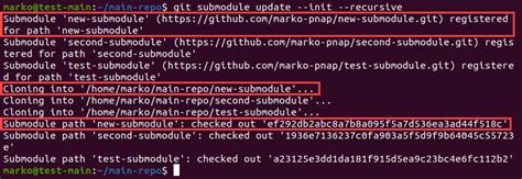 Git Submodule Guide And Basic Commands To Get Started Phoenixnap Kb