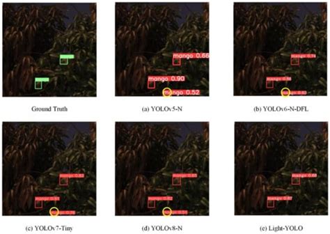 Agriculture Free Full Text Light Yolo A Lightweight And Efficient Yolo Based Deep Learning