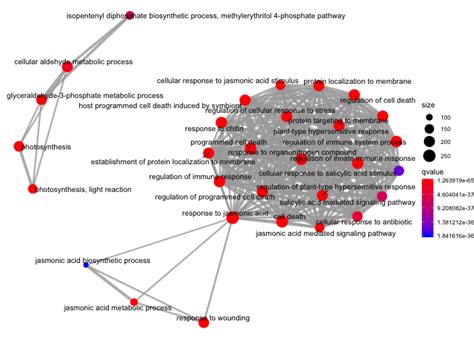 07 Functional Enrichment Analysis Introduction To Rna Seq