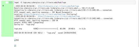 Bug Notebook Cant Display Images But Lab Can · Issue 6267