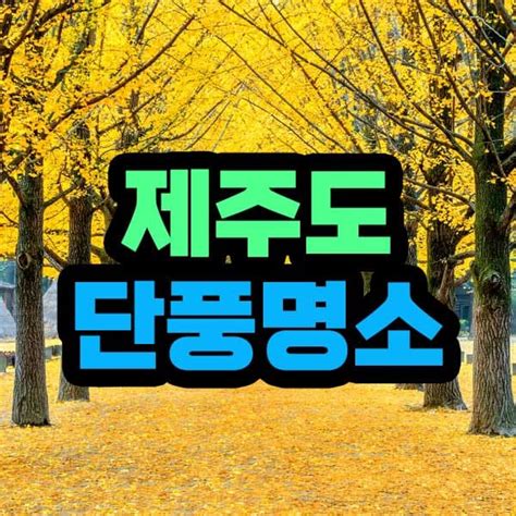 제주도 12월 가볼만한 곳