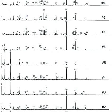 Py Gc Ms Total Ion Chromatogram Tic Of The Gilding Samples Download Scientific Diagram