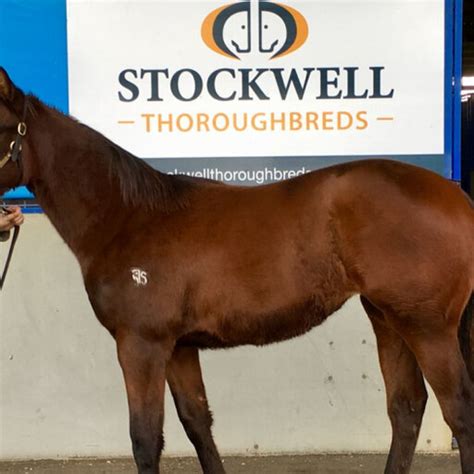 Deborah Bindon Southern Cross University Lismore Centre For