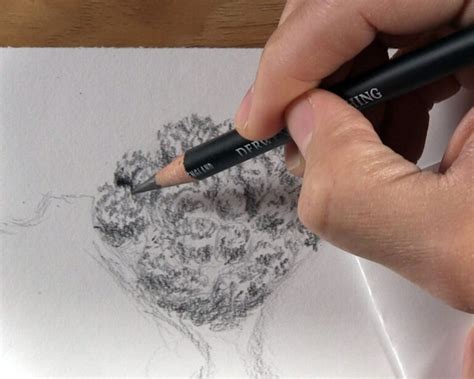 How To Draw A Tree With Leaves In A Surprisingly Familiar Way Let S Draw Today