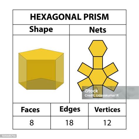 육각형 프리즘 네트 면 가장자리 및 꼭짓점 기하학적 도형은 흰색 배경에 고립되어 있습니다 기하학적 3d 모양 그물입니다 수학에서 벡터 그림 0명에 대한 스톡 벡터 아트 및