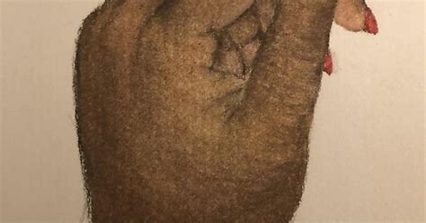 Continuation Of My Drawing Project Part 4 Album On Imgur