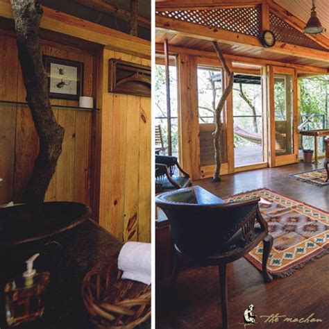 Forest Resorts In Lonavala Near Mumbai Pune The Machan Tree House Accommodation Forest