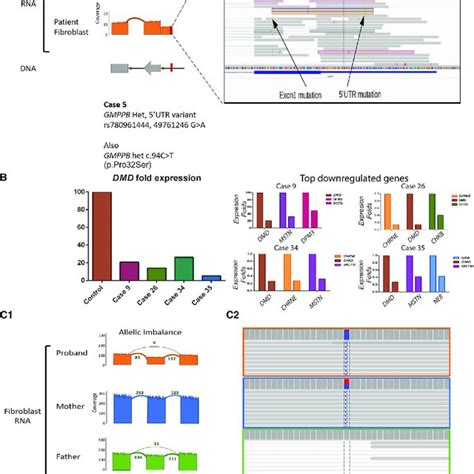 Analysis Of Variants Expression Profiles And Allele Specific