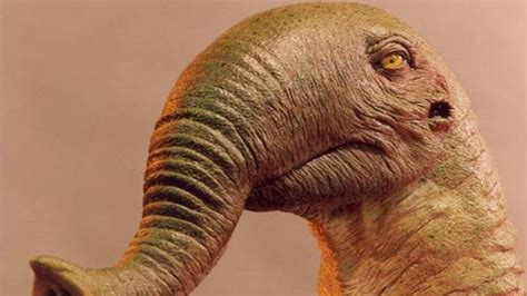 Trunked Sauropods Contradictions And Comparisons Youtube