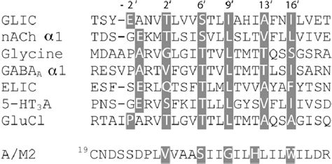 alignment of the pore lining regions of glic and a selection of related