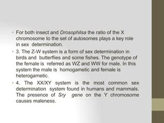 SEX DETERMINATION Pptx