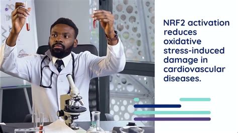 Nrf1 Nrf2 And Nad On Heart And Diabetes Youtube