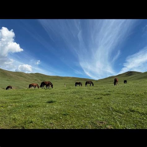 Tm Өнөөдрийн УИХ аас баталсан хуулийн нэмэлт өөрчлөлтөөр Монгол Улсад цахим мөрийтэй тоглоом