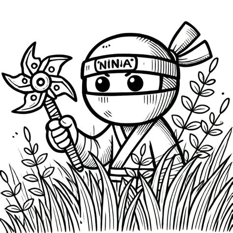 Ninja Yang Sangat Lucu