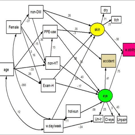 Diagram Of Occupational Hazard Indicators Health Outcome Indicators