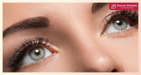 Explore Different Types Of Eyelash Extension Styles For You
