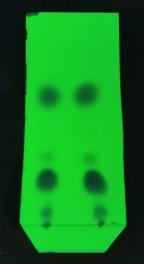 Python Improvement Of Cv2 Shape Detection For Spot Detection On Tlc