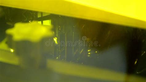 Process Working 3d Printer Close Up 3d Printing From Liquid Material Close Up Stock Footage