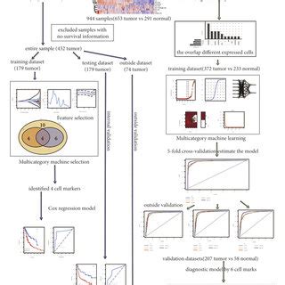The Complete Workflow Of The Analysis In This Study Download Scientific Diagram