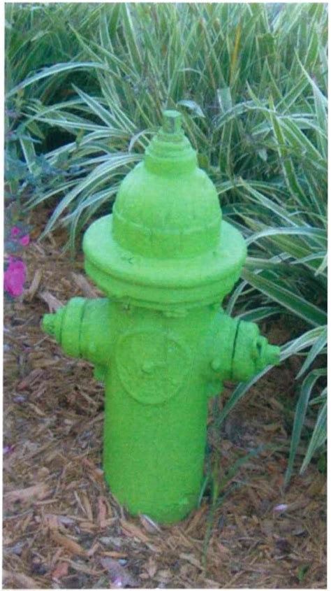 Fire Hydrant Maintenance And Related Flushing Sanford Main