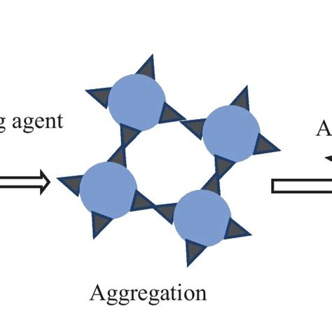 plasmonic nanoparticle s anti aggregation application in sensor