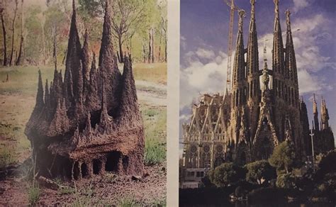 earthy generative design for earth and masonry architecture genesis lab