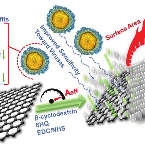 The Boosted Performance Of Go Flakes Upon Introduction Of Nhsedc