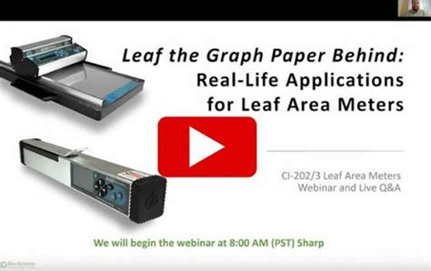 Leaf Area How Why Measuring Leaf Area Is Vital To Plant Research CID Bio Science