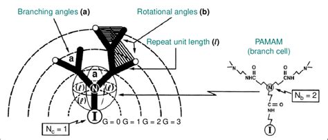 branch cell parameters branching angles a rotational angles b
