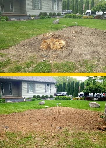 Before And After Tree Stump Removal Services