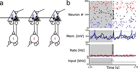 Figure 1 From Communication Through Resonance In Spiking Neuronal