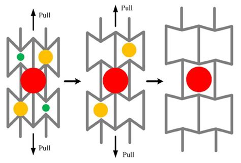 Schematic Of Variable Permeability In Auxetic Structures Reprinted Download Scientific Diagram