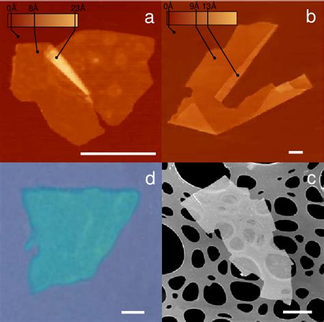 Figure 1 From Two Dimensional Atomic Crystals Semantic Scholar
