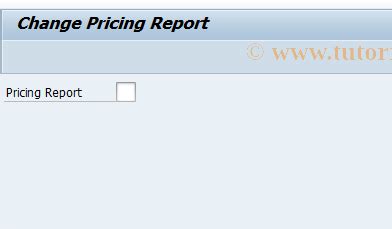 8KEG 02 SAP Tcode Change Pricing Report Transaction Code