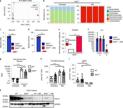Depletion Of Microbial Ba Metabolism By Abx Abrogates Ileal Fxr Download Scientific Diagram