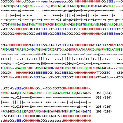 The Sequence Alignment Between The Predicted Model Modeller And The