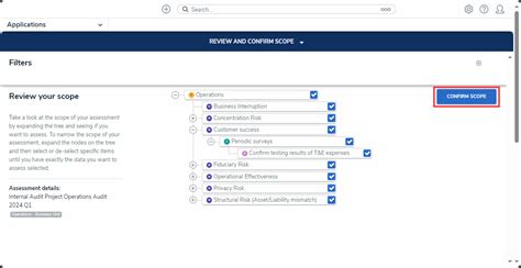 Define Scope Of Internal Audit Project