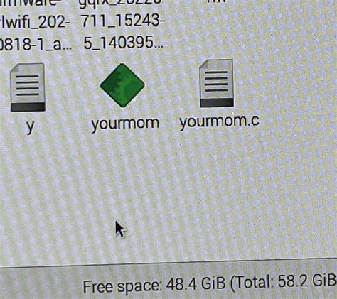 Do I Run This Program Fandom