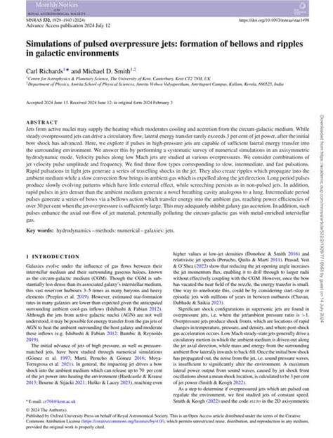 Simulations Of Pulsed Overpressure Jets Formation Of Bellows And