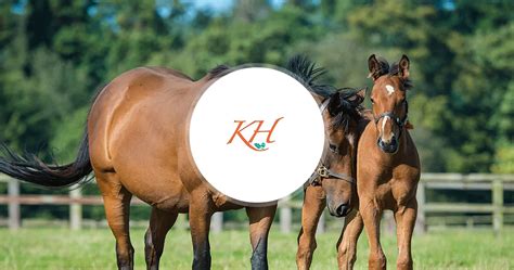 Quality Web Mobile Development Services Webgarh Solutions