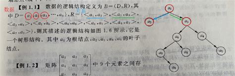 数据结构与算法绪论篇详解 CSDN博客