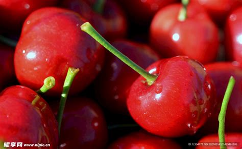 樱桃 摄影图 水果 生物世界 摄影图库 昵图网