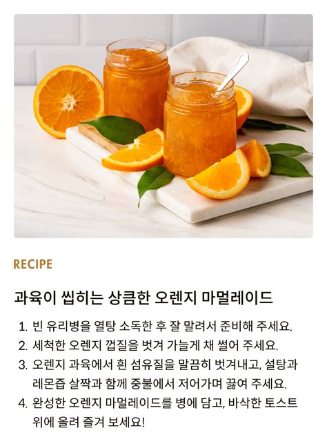 [트릿지팜] 고당도 호주산 네이블 오렌지 대과 10입 2 4kg 내외 특과 10입 2 8kg 내외 유픽