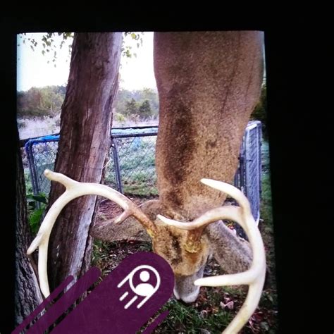 Michael Bartley Of Alleghany Co Star City Whitetails Facebook