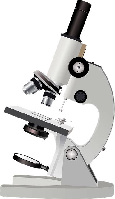 Más De 40 000 Imágenes Gratis De Imagen De Un Microscopio Y Microscopio