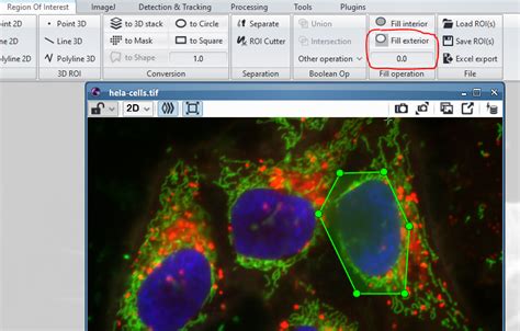 Topic Active Contours Roi Not Binary But Keeping Pixels With