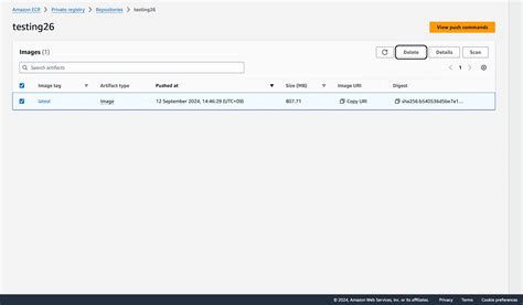 getting started with amazon ecr creating a repository and pushing
